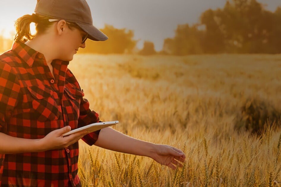 Innovating Agriculture tech with Isagri and Aardling | Aardling